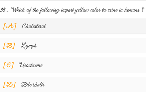 Comments yours answer - MEDizzy