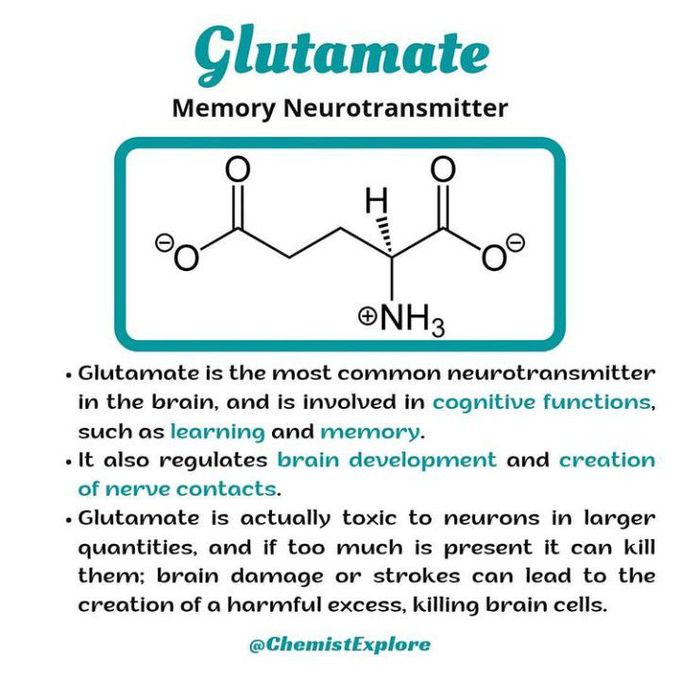 Glutamate MEDizzy