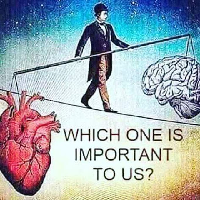 If I says to you that choose only One primary option then - MEDizzy