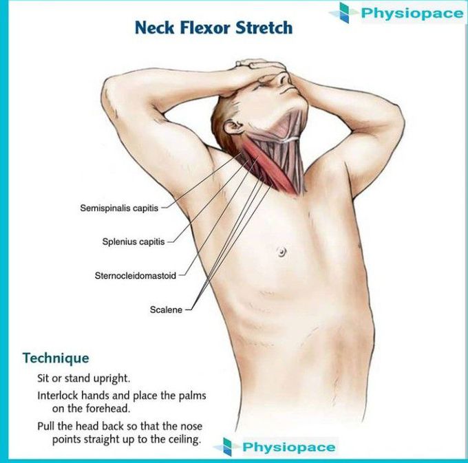 Neck flexor stretch - MEDizzy