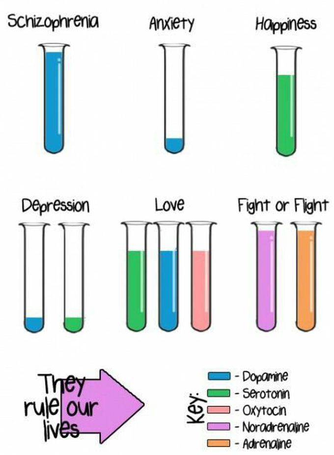 Important Hormones & Neurotransmitters - MEDizzy