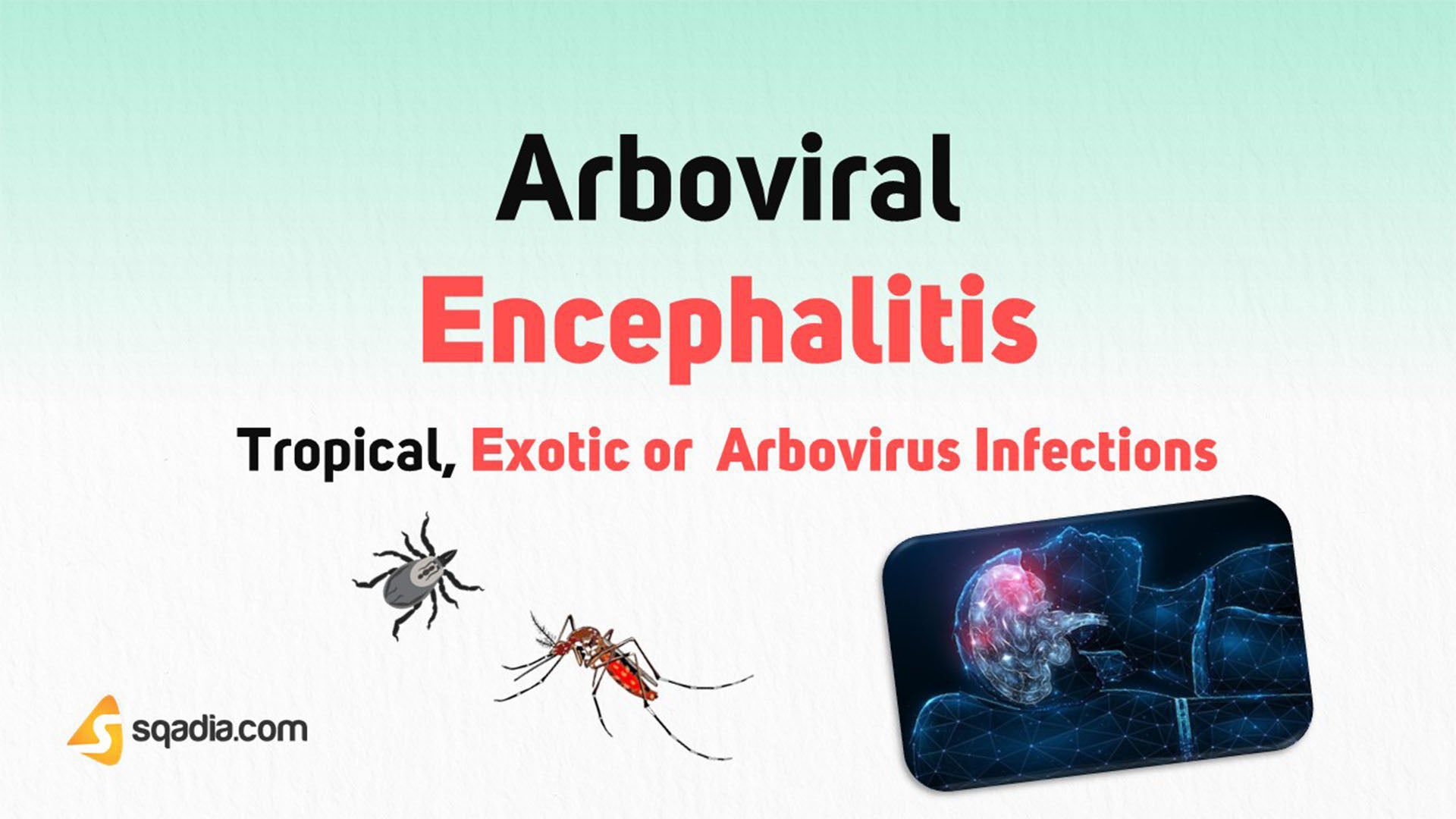 Arbovirus Encephalitis MEDizzy