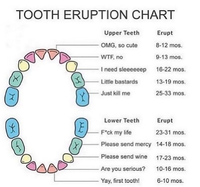 Tooth Eruption Chart - MEDizzy