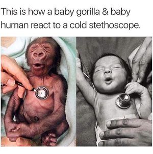 Medical facts - MEDizzy