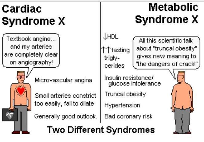 Cardiac Syndrome X and Metabolic Syndrome X - MEDizzy