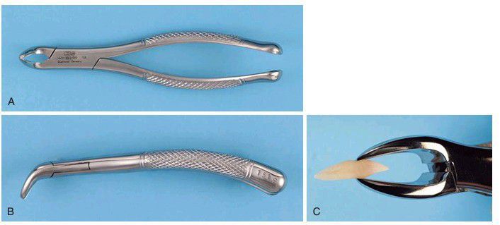 No 151 forceps - MEDizzy
