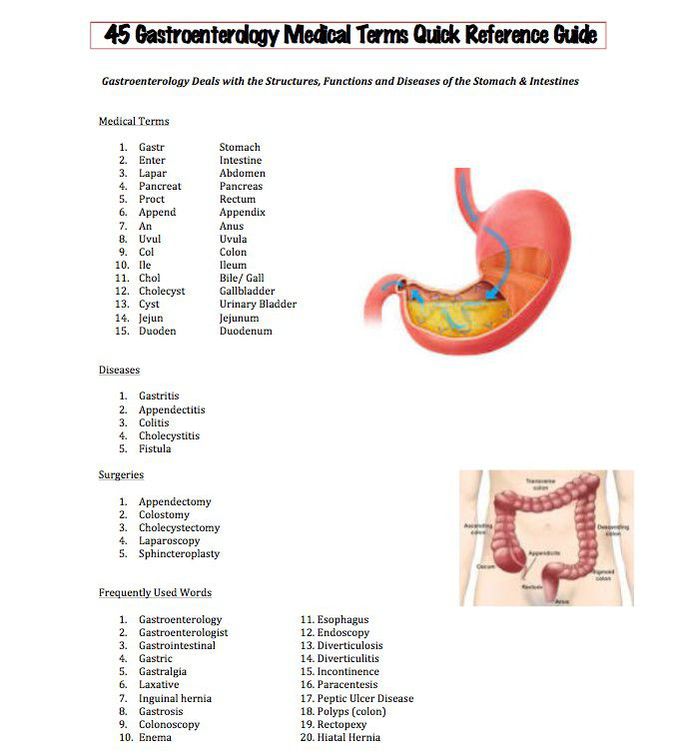 Gastroenterology Medical terms - MEDizzy