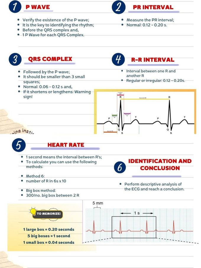 ECG Interpretation - MEDizzy