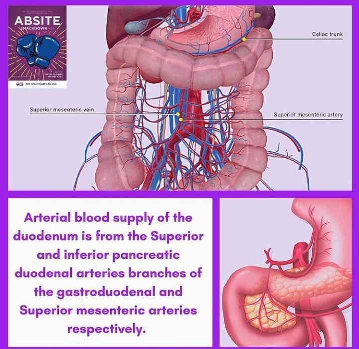 General surgery - MEDizzy
