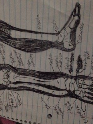 Legs and feet - MEDizzy