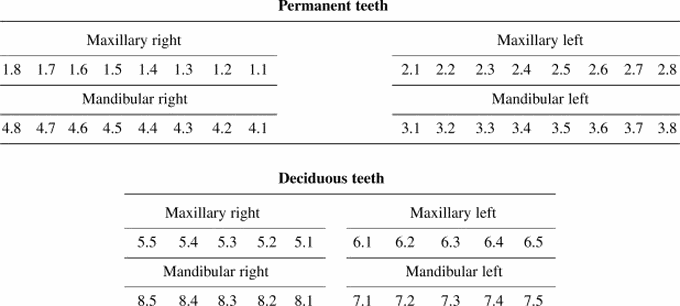 FDI TOOTH NUMBERING SYSTEM - MEDizzy