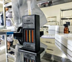 % HB Estimation - MEDizzy