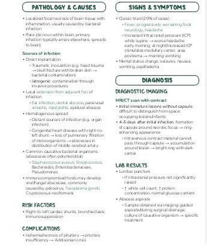 Treatment for Temporal lobe abscess - MEDizzy