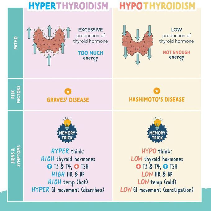 Hypothyroidism Vs Hyperthyroidism - MEDizzy