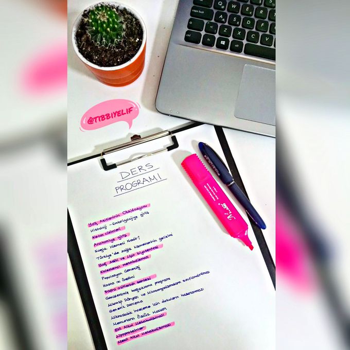 Study instagram: @tibbiyelif - MEDizzy