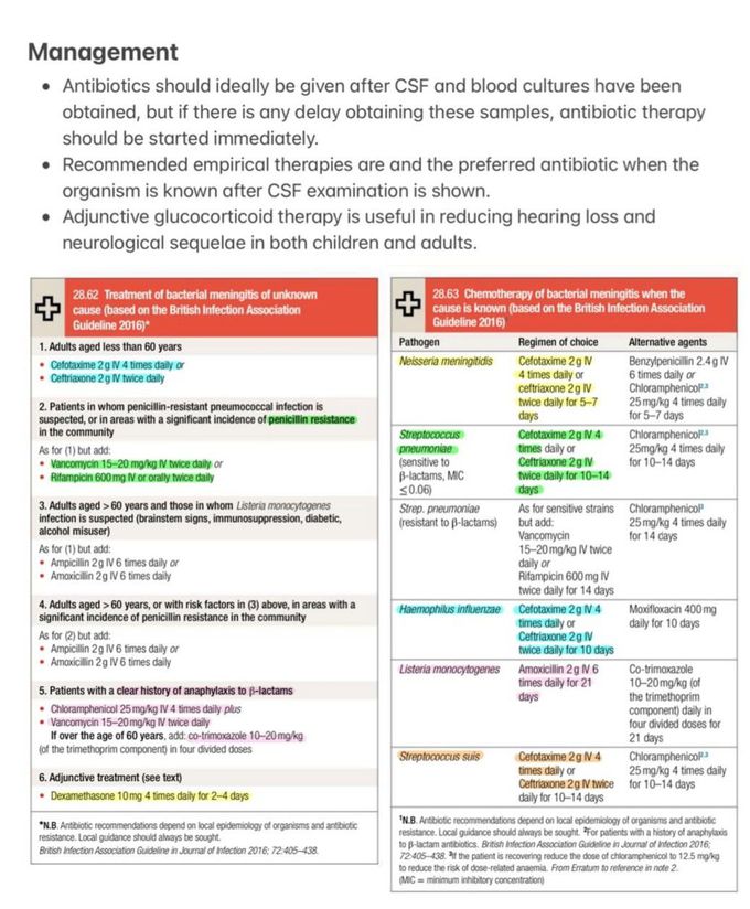 Acute Bacterial Meningitis VI MEDizzy