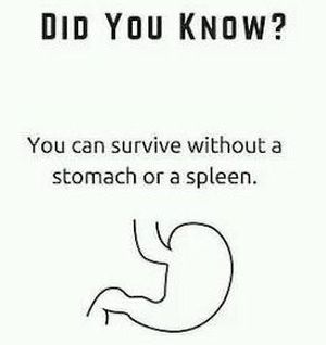 Did u know. U can live without stomach and spleen - MEDizzy