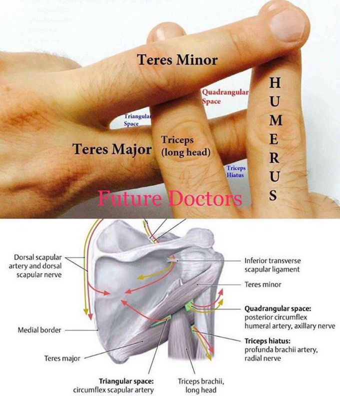 Post number 136579 - MEDizzy