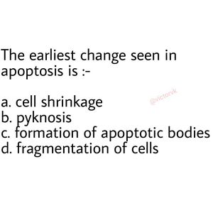 Cellular pathology - MEDizzy