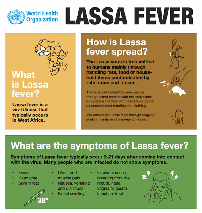 What is lassa fever? - MEDizzy