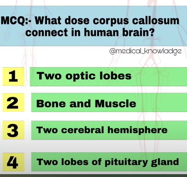Corpus Callosum connects which to structures? - MEDizzy