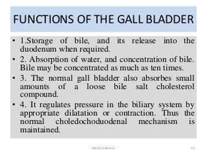 Functions of Gall bladder - MEDizzy