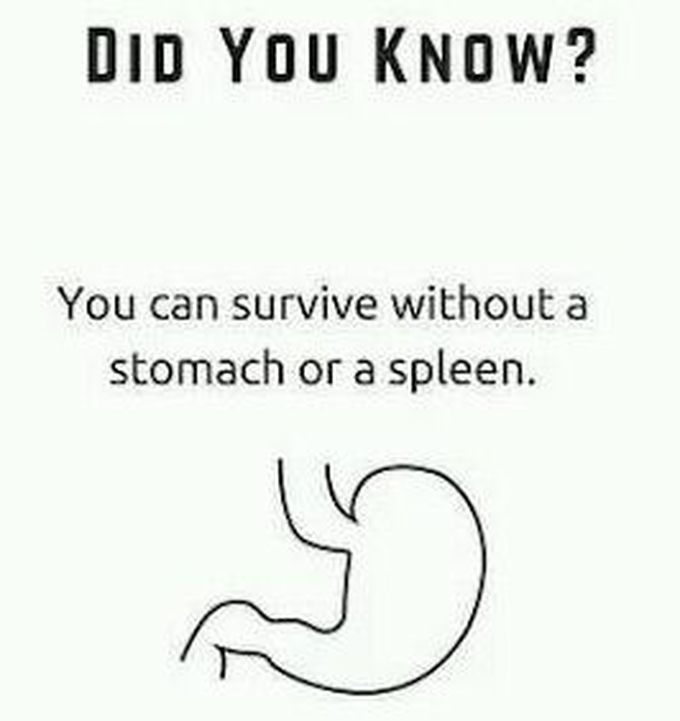Did u know. U can live without stomach and spleen - MEDizzy