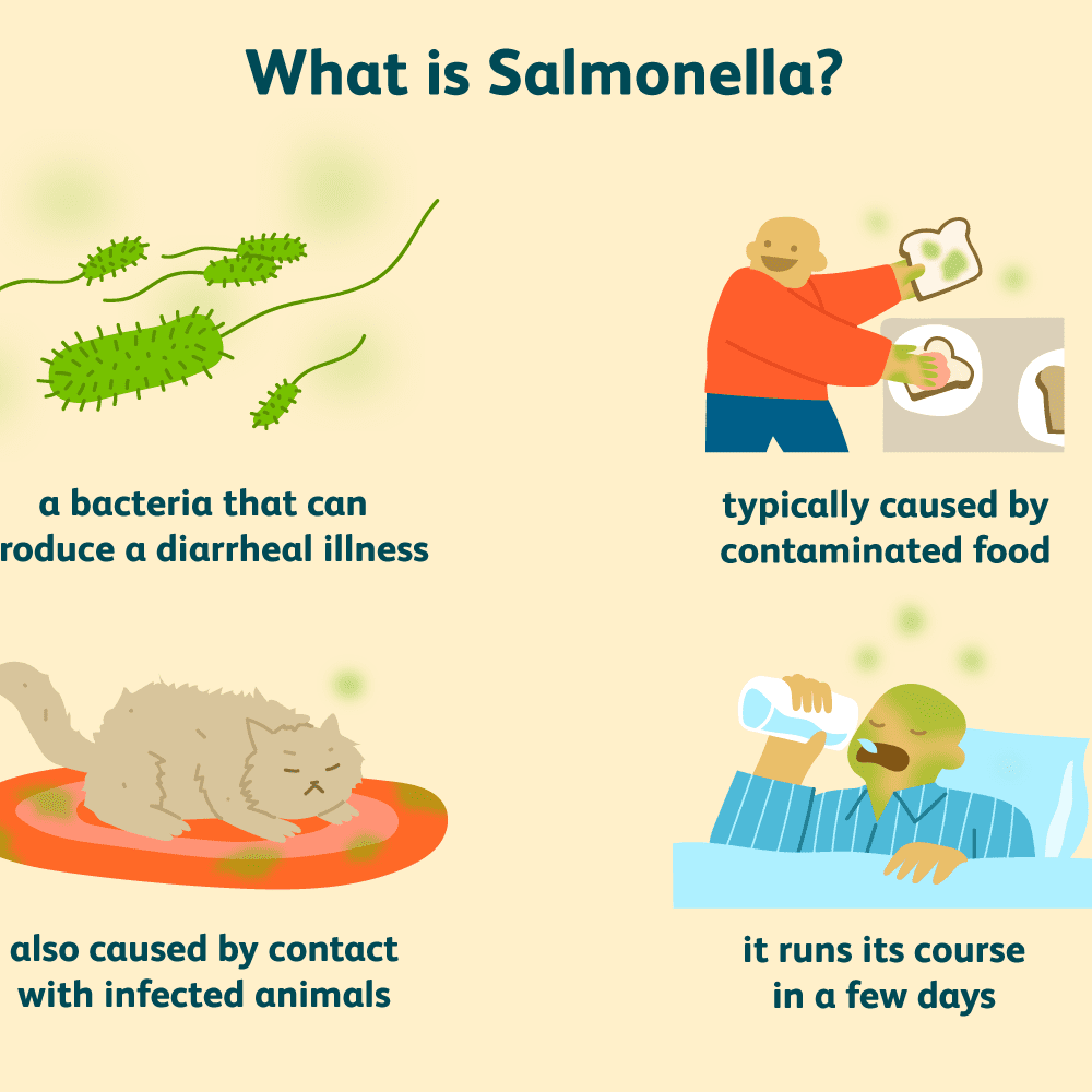 Salmonella - MEDizzy