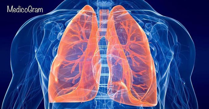 3D Look of Human Lungs - MEDizzy