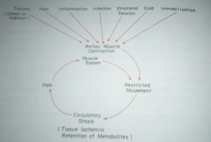 Self perpetuating cycle of muscle spasm - MEDizzy