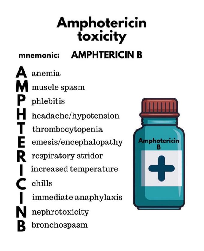 amphoteric elements mnemonic