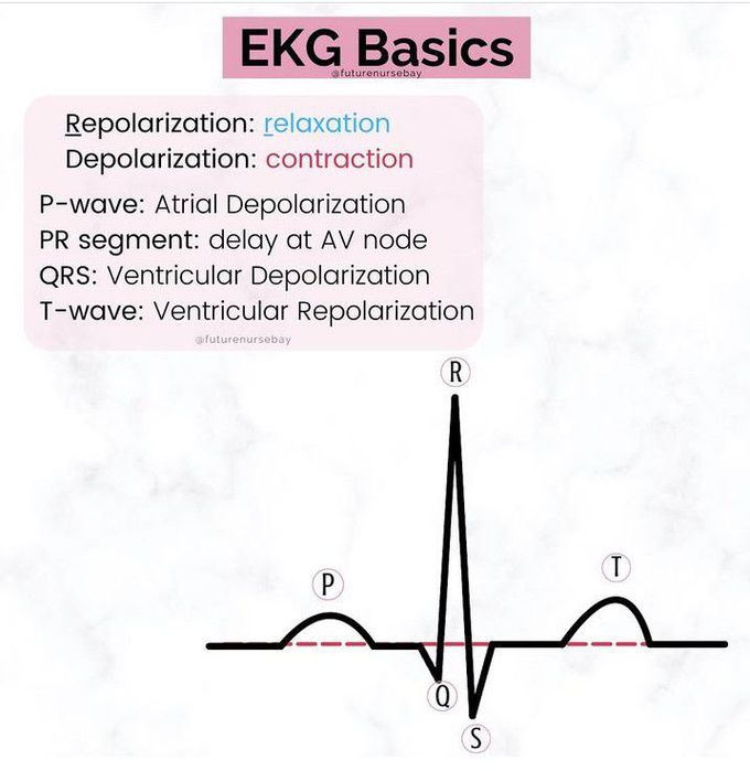 EKG Basics - MEDizzy