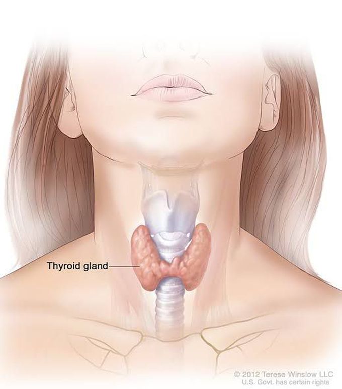 Hypothyroidism - MEDizzy