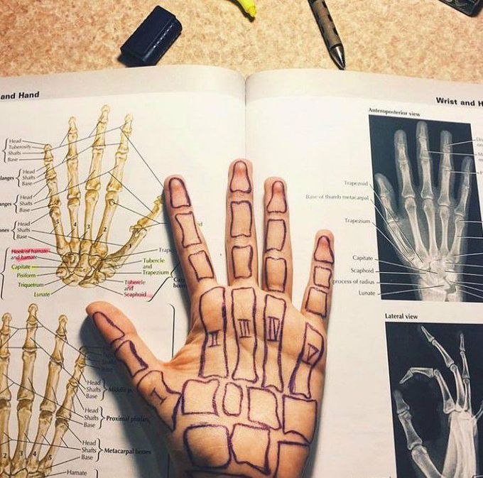 Bones of palm - MEDizzy