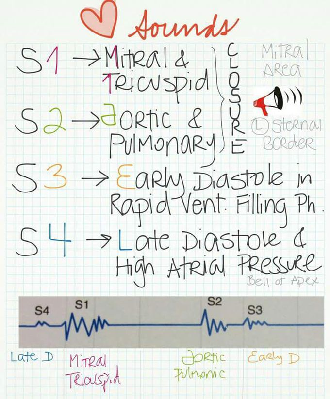 Heart Sounds MEDizzy