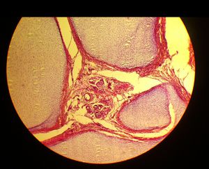 What's your dx?? - MEDizzy