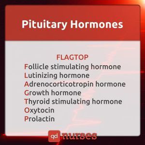 Pituitary Hormones menomics - MEDizzy