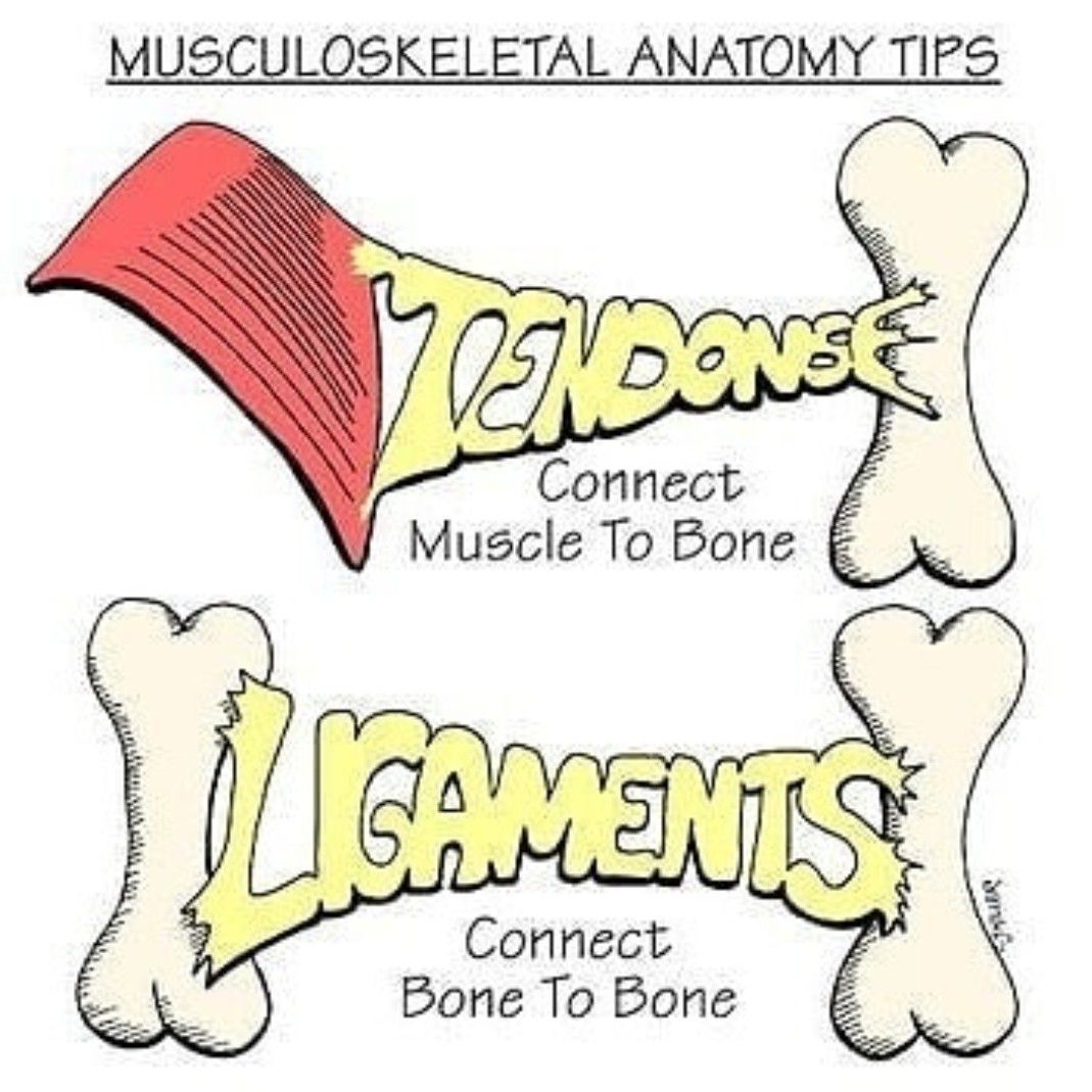 The major confusion - MEDizzy