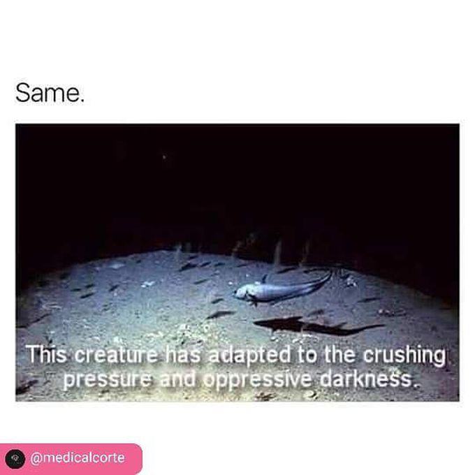 I think we can all relate to this ! Whats your coping - MEDizzy