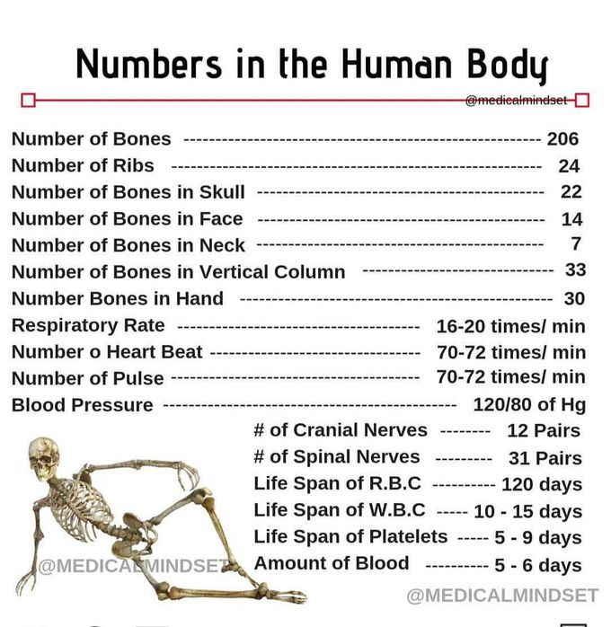 Medical no.s - MEDizzy