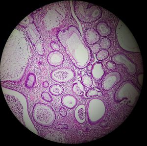 Pathology... - MEDizzy