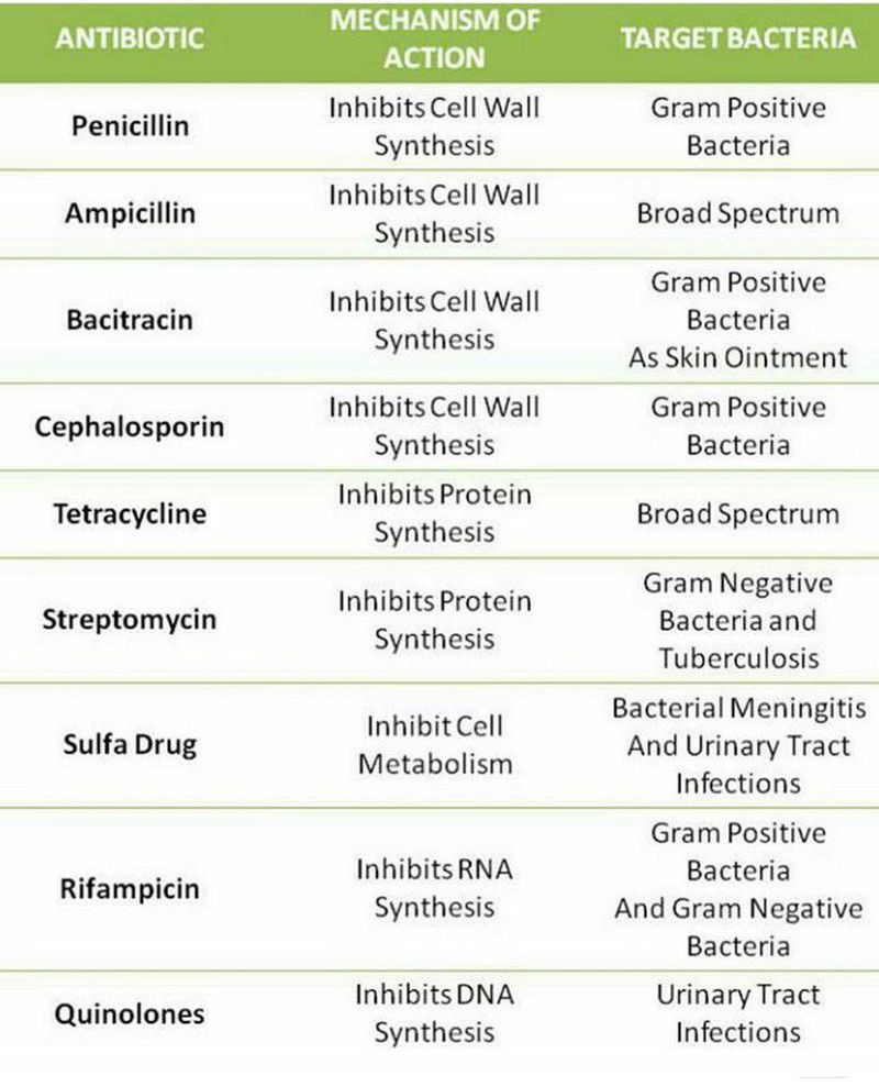 Pharmacology - MEDizzy