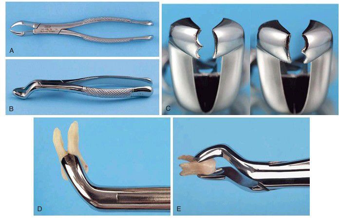 No 53L forceps - MEDizzy