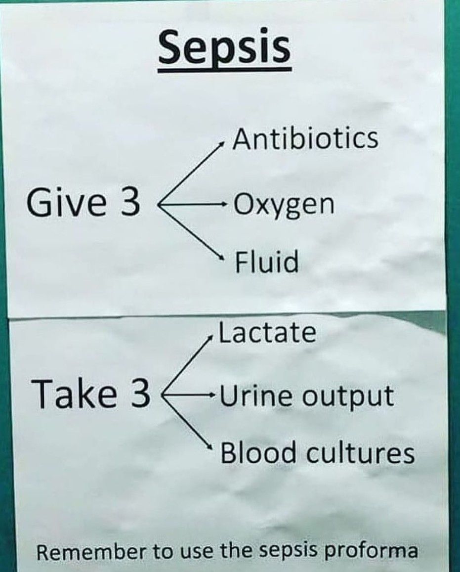 Sepsis - MEDizzy