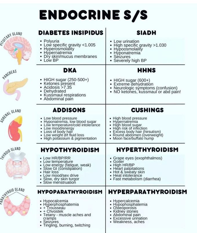 Endocrine Review Sheet - MEDizzy