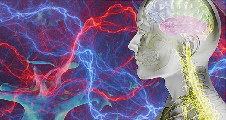 The five most common types of pain are: Acute pain. Chronic - MEDizzy