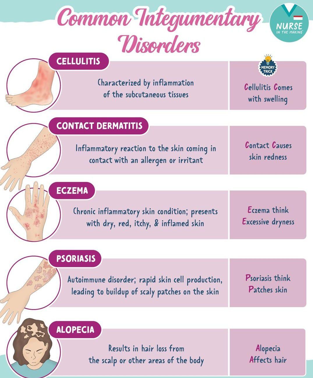 Common Integumentary Disorders - MEDizzy