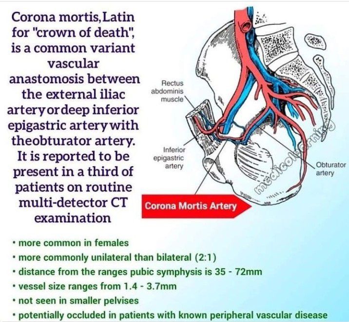 General surgery - MEDizzy