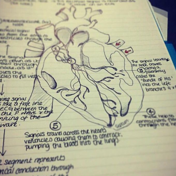 Cardiology Revision - MEDizzy