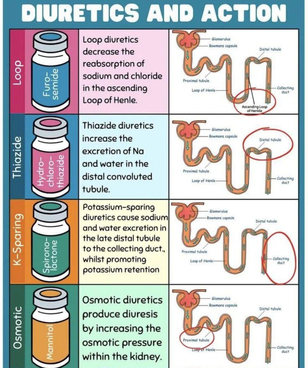 Diuretics - MEDizzy